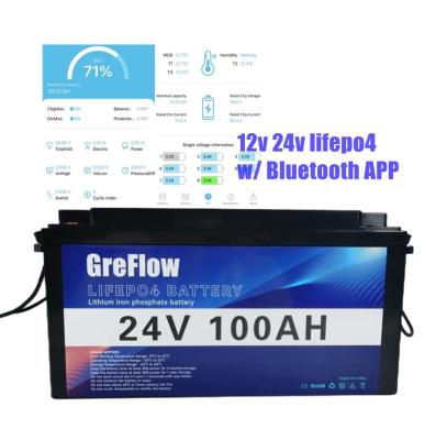 China 2560WH Lifepo4 Storage Battery Pack 24V 100Ah With Prismatic Cell for sale