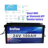 China 6000 Times 2560WH 24V Lifepo4 Battery Pack 24V 100Ah With Prismatic Cell for sale