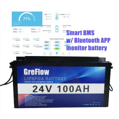 China 6000 Times 2560WH 24V Lifepo4 Battery Pack 24V 100Ah With Prismatic Cell for sale