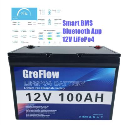 China OEM Lithium Lifepo4 12v 100ah Battery With Smart Bms IP65 for sale