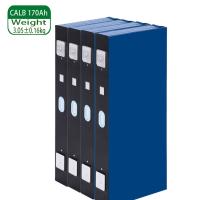 China Grade A EV Rechargeable Lifepo4 Battery Pack 3.2V 170Ah 3000 Cycles for sale