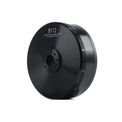 China 8112 IPE 100KV Brushless DC Motor for sale