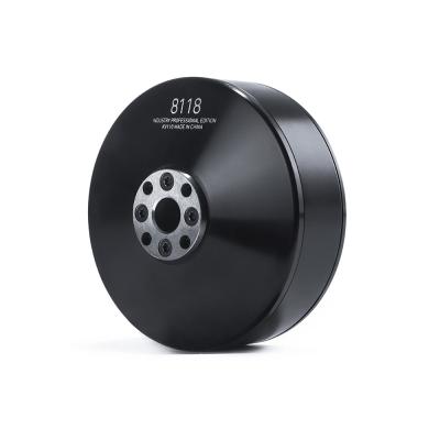 China 8118 IPE Brushless DC Motor 100KV for sale