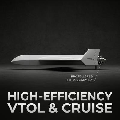 China Gasoline Engine E.09 VTOL Fixed-Wing Long-Endurance ISR UAV 4790mm Wingspan 27.2kg Payload 6649m Ceiling for sale