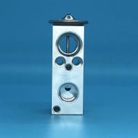 China T1012570B 1668300284 Auto AC Expansion Valve For BENZ W166/ML63/250/350/400/550 for sale