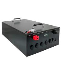 China 5000W Deep Cycle Lifepo4 Battery Server Rack Lithium Ion Battery 100Ah 51.2V for sale