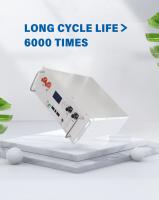 China 51.2V 50A 100Ah 200A Portable Power Stations LifePo4 Solar Energy Storage Battery for sale