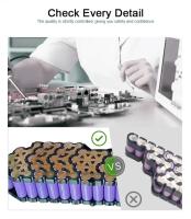 China High-Performance E Bike Battery for Hailong Case 250w/350w/500w Motor Black for sale