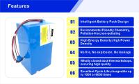 China 36V Lithium-ion E Scooter Battery for Electric Bike with Eco-Friendly Materials for sale