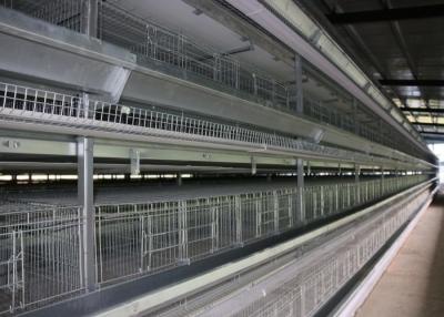 China Energy Saving H Type Layer Chicken Cage / Wire Poultry Cages Operate Steadily for sale