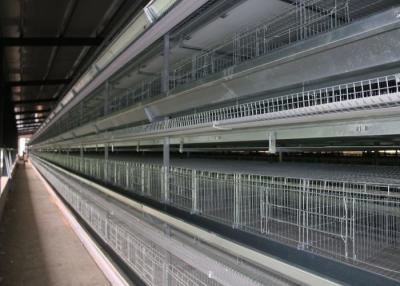 China Battery H Type Layer Chicken Cage Low Noise High Carrying Capacity for sale