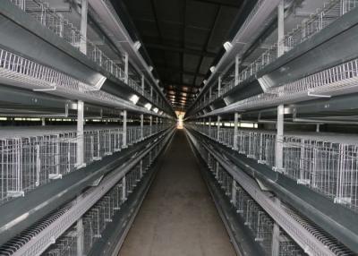 China High Efficiency Chicken Layer Equipment Q235 Standard Steel Material for sale