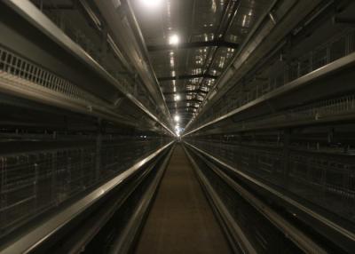 China Full Automatic Broiler Chicken Cage System Easy Installation Poultry Shed Design for sale