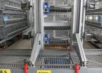 China Eco - Friendly Safe Chicken Farm Poultry Equipment Customized Size for sale