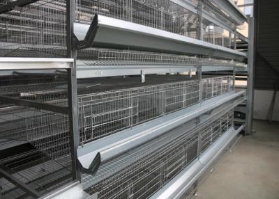 China High Strength Chick Rearing Cage H Type Layer Cage  For Poultry Farm for sale