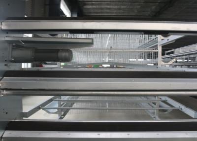 China Professional  Layer Chicken Cage H Type  Smooth Surface 1800mm×600mm×430mm for sale