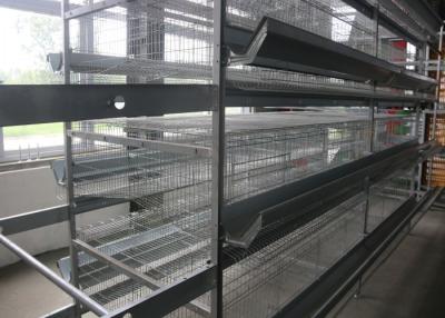 China Conventional  H Frame Chicken Egg Cage For Laying Hens  Free Layout Design for sale