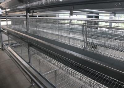 China 160 Birds Layer Chicken Cage Automatic Controlling System Q235 Steel Wire Material for sale