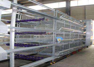 China Reliable Safety Cage Holding Poultry Chicken Breeding Cages Save Space for sale