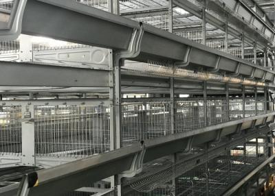China Drying Automatic Manure Removal System Comfortable Environment For Chicken for sale