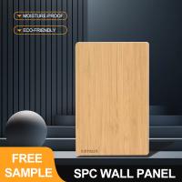 China SPC Wall Panel Promotion 600*2440*4mm Waterproof Stone Plastic Eco-Friendly Simple Modern Decor Wall Panels For Bathroom And Shower for sale
