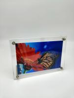 China Functionality Acrylic Photo Frame Easel Display Stand 18cm X 13cm Size for sale