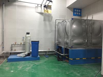 China Electroplating Anti Corrosion Ultrapure Water Equipment Double Stage RO EDI Deionization Custom Capacity 0.5-50m3/h for sale