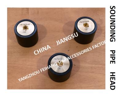 China Fuel Sounding Pipe Head C50 CB/T3778-99 for Tank Temperature Measuring Injection for sale