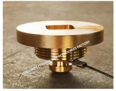 China Stainless Steel Sounding Tube Cap for Deck Welding with Optional Plug Chain 150mm for sale