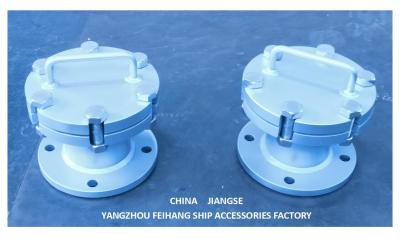 China Stainless Steel International Shore Connection 0.6Mpa Flanged for Oily Wastewater CB/T3657 for sale