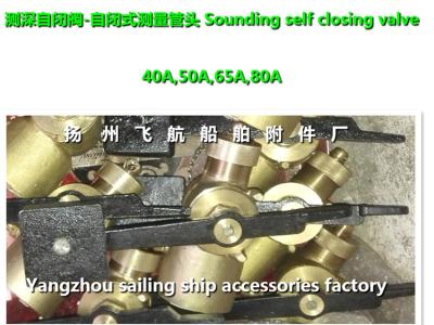 China Self Closing Measuring Tube Head Dg 50 CBM1128-82 for Industrial Use for sale