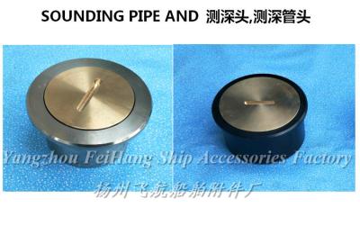 China A100CB/T3778-99 stainless steel sounding injection head for sale