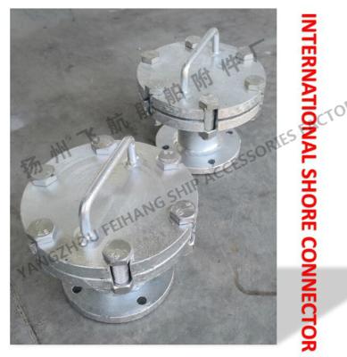 China Galvanized Carbon Steel Domestic Sewage Shore Connection BS6050 CB/T3657-94 100mm for sale