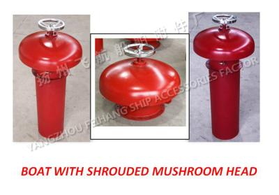 China Externally Open Mushroom Vent Dg100 Hood Ventilator with Deflector A100 CB455-65 for sale