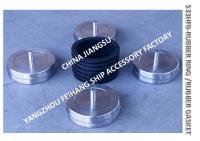 China Rubber Ring Gasket for 533HFB Air Vent Head Nominal Diameter 50A to 650A for sale