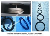 China Rubber Ring Gasket for 533HFB Air Vent Head Nominal Diameter 50A to 650A for sale