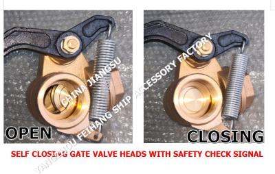 China 37NF-50A Oil Tank with Safety Self-Closing Valve and Measuring Pipe Head 50L for sale