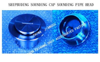 China Stainless Steel Sounding Pipe Head for Ship Bow Tip Cabin 50mm DN50 for sale