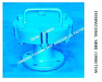 China Oily Sewage International Shore Connection CB/T3657-94 AS6100 100mm Flange for sale