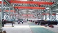 China Electric Single Girder Overhead Crane 8 m/Min for sale