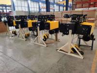 China Euro Style Electric Wire Rope Hoist 10 Ton Pendant Control IP54 for sale