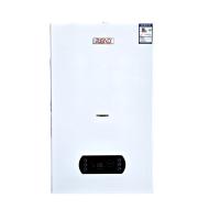 China Gold Shell Wall Mount Gas Boiler 28kW Energy Saving Wall Hung Condensing Boiler 220V for sale