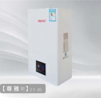 China Wall Mounted Gas Condensing Boiler 30kW High Efficiency Natural Gas Boiler 220V 50Hz for sale