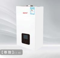 China Wall Mounted Gas Condensing Boiler 30kW High Efficiency Natural Gas Boiler 220V 50Hz for sale