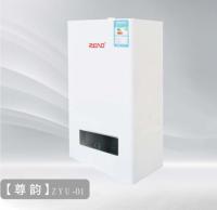 China Wall Mounted Gas Condensing Boiler 30kW High Efficiency Natural Gas Boiler 220V 50Hz for sale