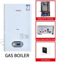 China Stainless Steel Wall Mounted Gas Boiler Stepless LPG Heating Boiler 28kW 24kW for sale