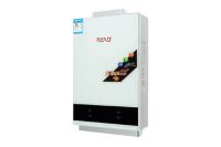 China 24L Gas Hot Water Heater Wall Mounted Propane Boiler Stainless Steel 220V 50Hz for sale