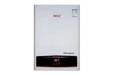 China Wall Hung Gas Hot Water Heater 16L 24L Continuous Instant Boiler LPG NG for sale