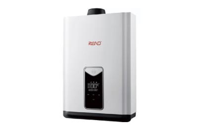 China 10L Gas Hot Water Heater Wall Hung Instant 20kW Household NG/LPG for sale