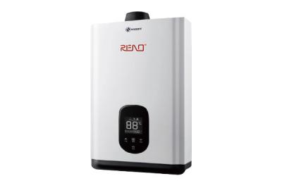 China 12L 24kW Gas Wall Mounted Combi Boiler Instant Hot Water Heater NG LPG for sale